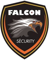 Nous contacter | GUADELOUPE (971) | FALCON SECURITY